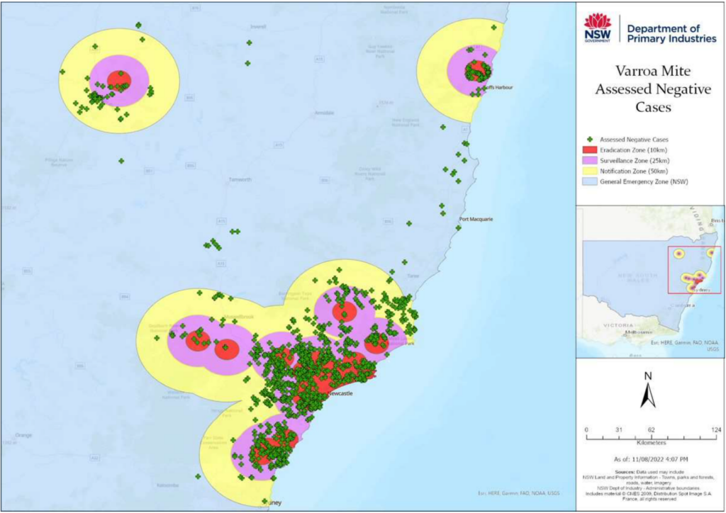 Varroa update - 50 days of eradication milestone - Australian Honey Bee ...