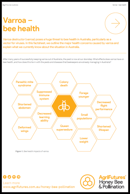 Resilient Beekeeping Factsheet Series - Bee Health - Australian Honey ...