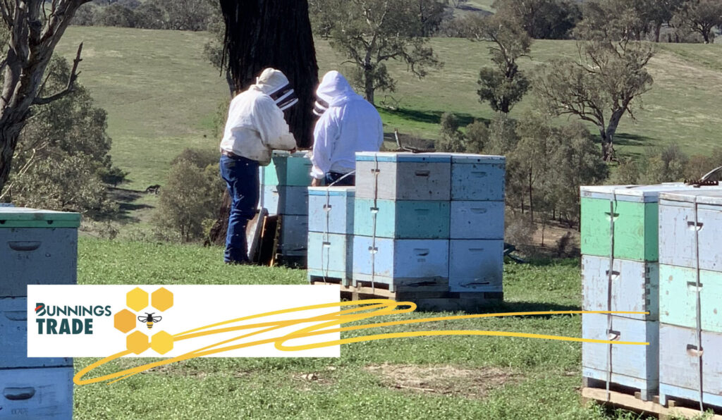 Home - Australian Honey Bee Industry Council