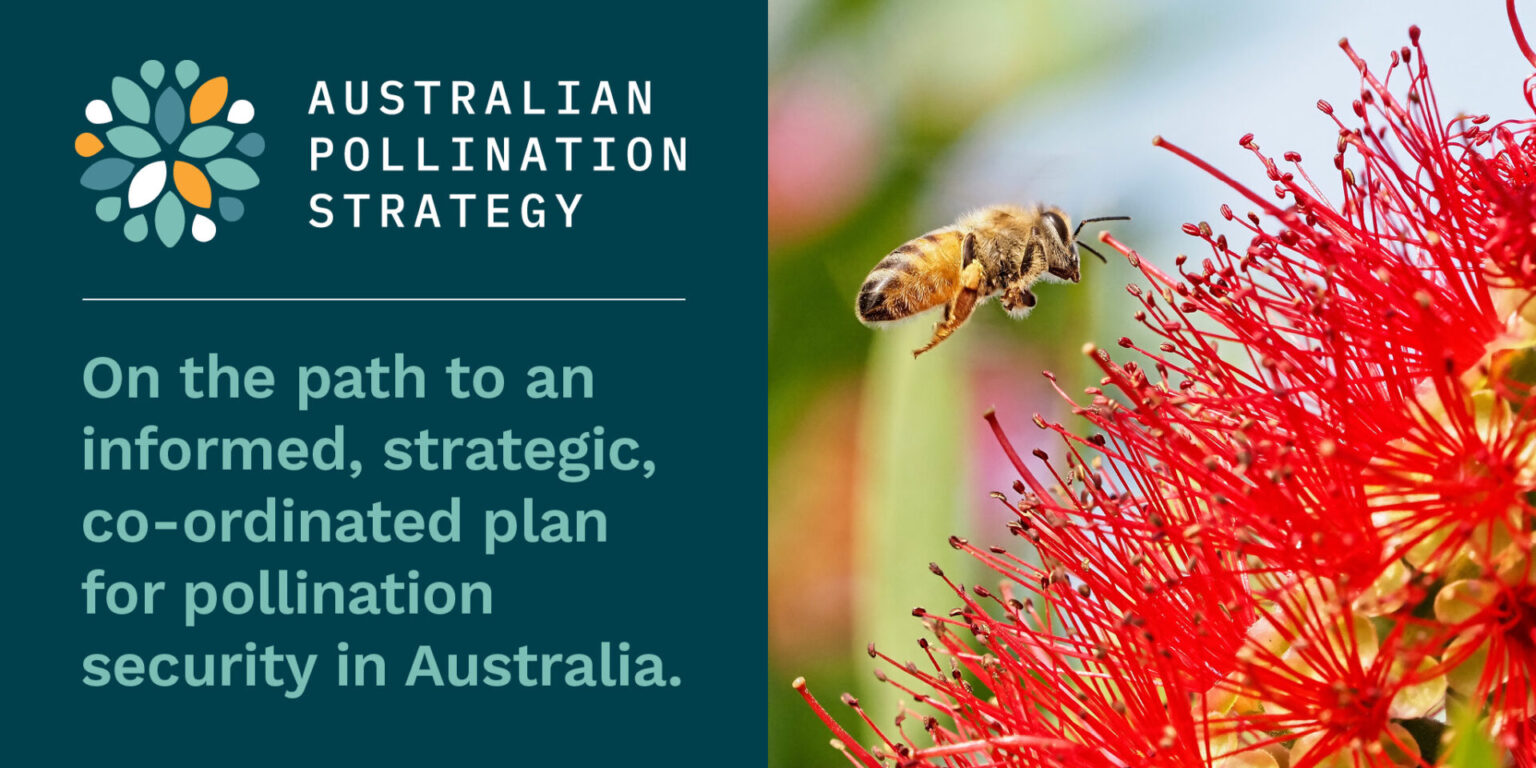 Exciting National Pollination Strategy for Australia! - Australian ...