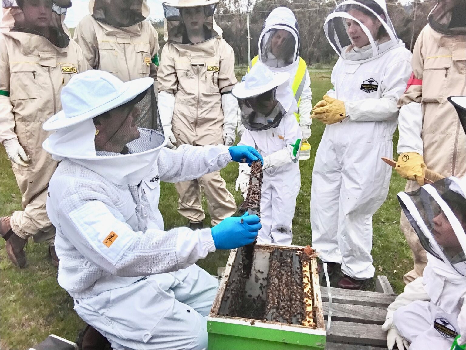Tasmanian Junior Beekeepers & Tasmania's VDO Carson McGinty ...